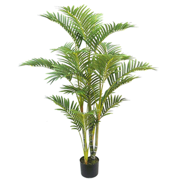 Les Trois Fleurs | Flowers Delivery Lebanon | Weddings Designer | Areca ...